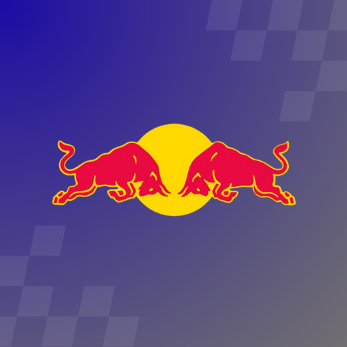 RED BULL – FAST IN FAST OUT